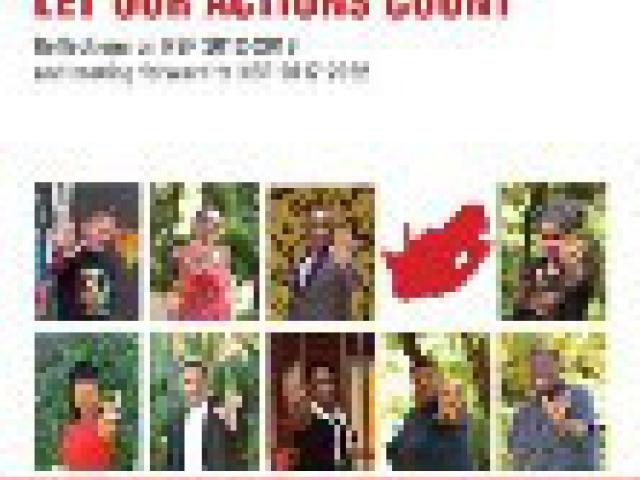 Let our actions count: reflections on the National Strategic Plan 2012 ...
